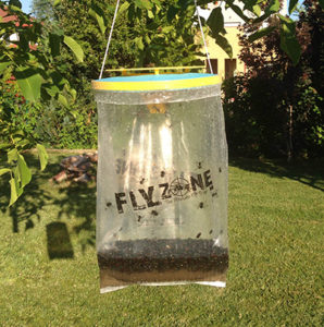 Flyzone XL – Fly trap – Insective